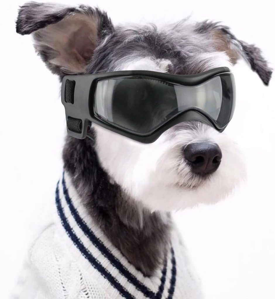 Sol, Calor y Mascotas: Cómo Proteger a tu Peludo de los Rayos UV - THE ...